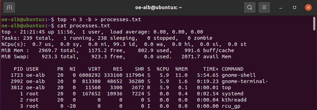 Viewing and Monitoring Processes in Linux - Tutorials - Ubuntu ...