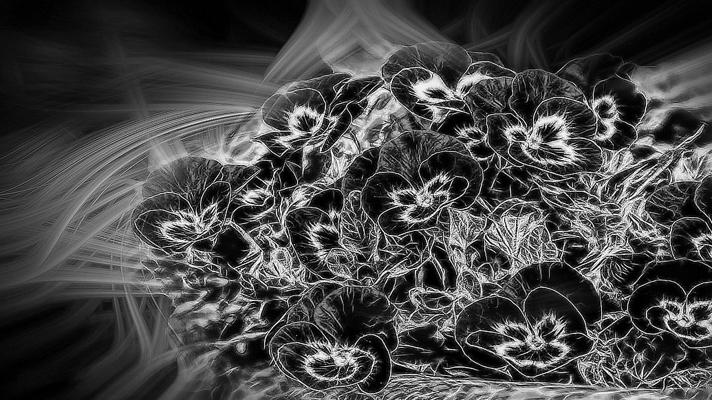 Jammy Jellyfish 22.04 Wallpaper Competition! - #70 by skywalker57 ...