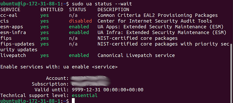 How to build your own AMI from Ubuntu Pro using Packer | Ubuntu