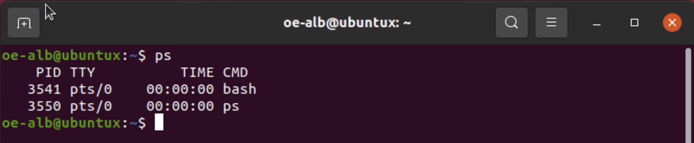 Viewing and Monitoring Processes in Linux - Tutorials - Ubuntu ...