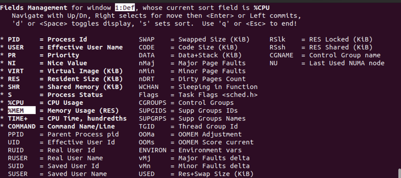 Viewing and Monitoring Processes in Linux - Tutorials - Ubuntu ...