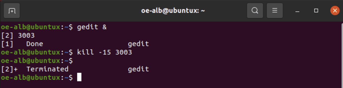 Viewing and Monitoring Processes in Linux - Tutorials - Ubuntu ...