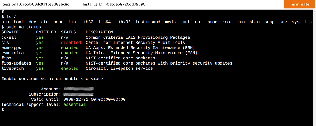 How to use AWS SSM Session Manager for accessing Ubuntu Pro instances ...