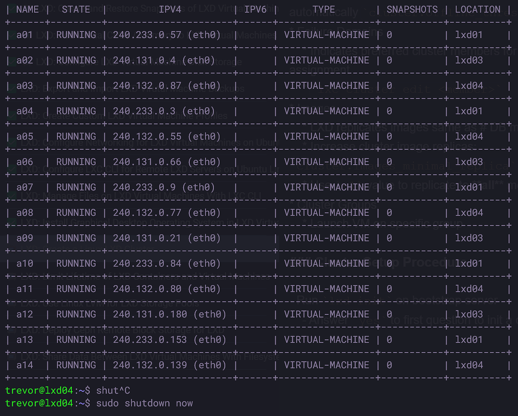 Lxd Cluster Virtual Machines Showing As Containers When Cluster Member Is Shutdown Support